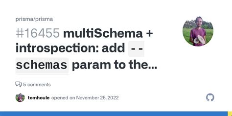 Multischema Introspection Add ` Schemas` Param To The `db Pull