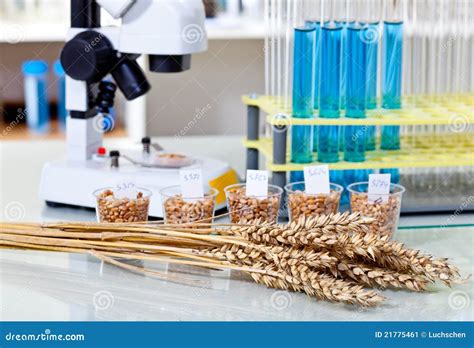 Artificial Selection Stock Image Image Of Development 21775461