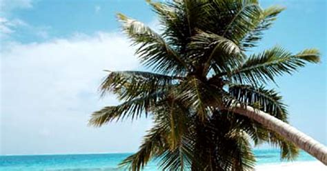 Worlds Sexiest Islands