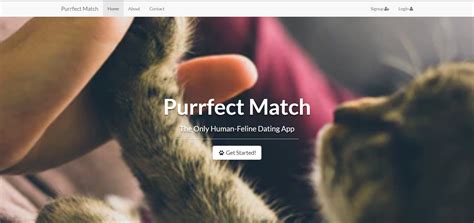 Omkar Kulkarni Web Developer