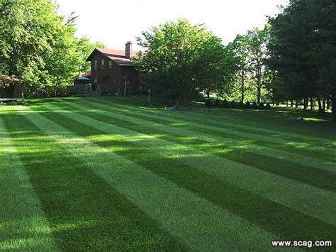 Annual Bermudagrass Maintenance Program Bes 3256531300