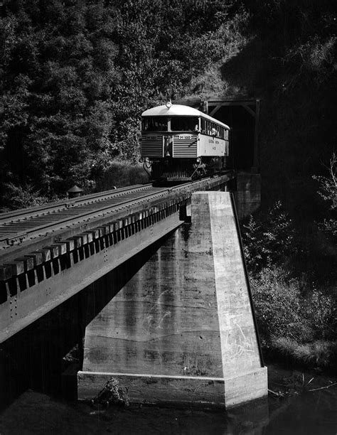 About The Skunk Train World Famous Skunk Train