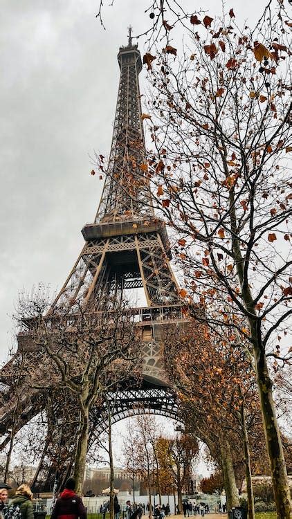 가을 가을 색 강철 건축 겨울 경치 경치가 좋은 계절 계절성 고층 건물 공원 관광 관광 명소 관광객 관광지 금속 구조 나무 나무 껍질 나뭇잎