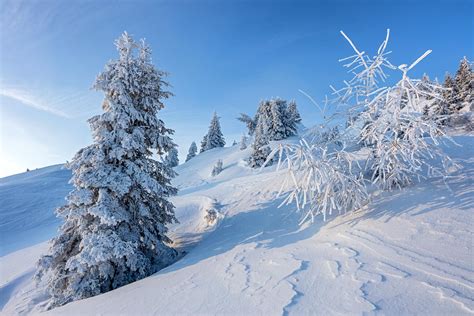 Roland Gerth Worldwide Photography