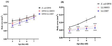 Improvement Of Locomotion Caused By Lactococcus Lactis Subsp Lactis In The Model Organism