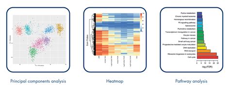 RNA Sequencing Services GenomeScan