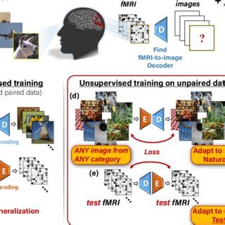PDF Self Supervised Natural Image Reconstruction And Rich Semantic Classification From Brain