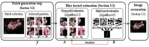 Flow Of The Proposed Algorithm We Selected Informative Patches And