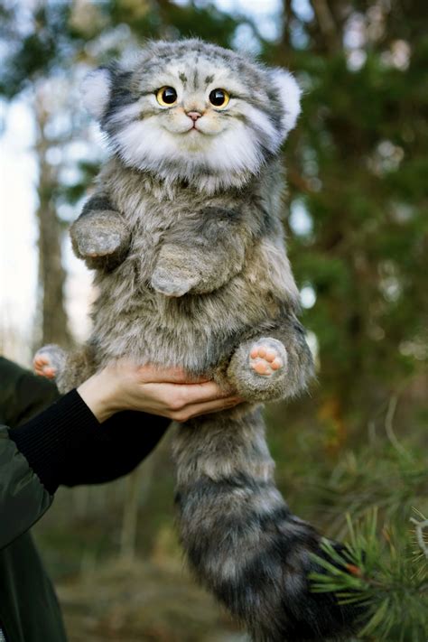 Прекрасный манул от gakman creatures | Пикабу