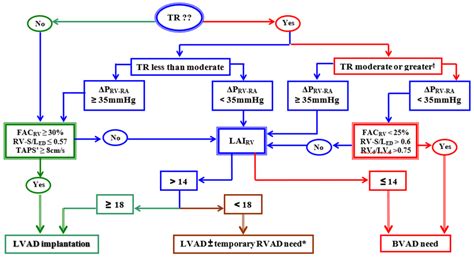 Transthoracic Echocardiography Based Algorithm For Device Selection In
