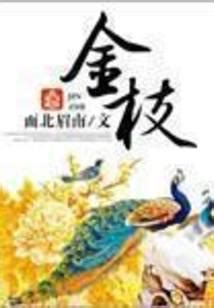 金枝 作者 面北眉南 爱下电子书