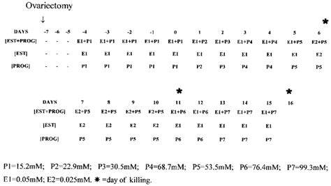 Temporal Diagram Of Hormonal Treatment Download Scientific Diagram