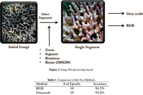 Table 1 From Automated Cnn Based Coral Reef Classiﬁcation Using Image