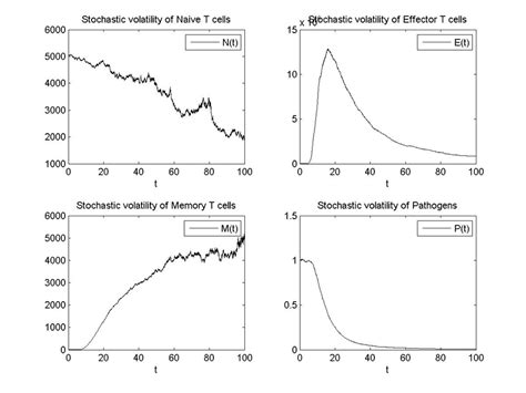 Realizations Of The Approximate Solutions Of The Stochastic Model With