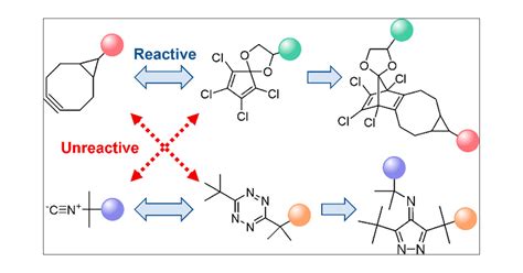 Orthogonal Inverse Electron Demand Cycloaddition Reactions Controlled By Frontier Molecular