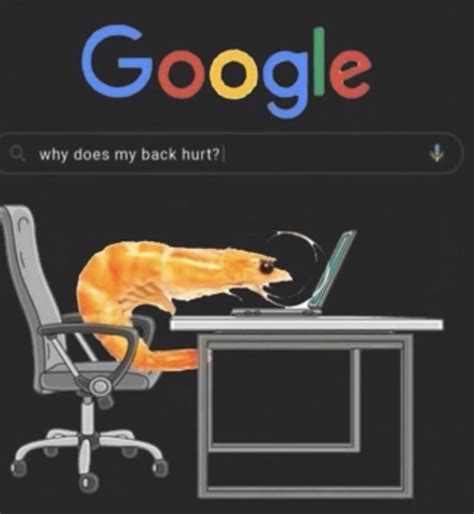 Proper Programming Posture Rprogrammerhumor