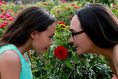 Matka Dcera Maminka Máma A Fotografie zdarma na Pixabay Pixabay