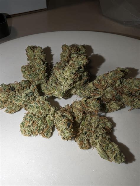 Flow Sour Sex Wax R Cultofthefranklin