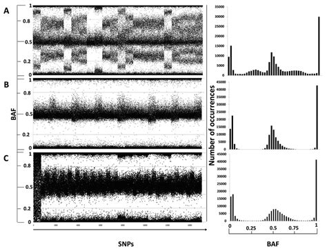 B Allele Frequency BAF Plots Left Side And BAF Histograms Right Download Scientific