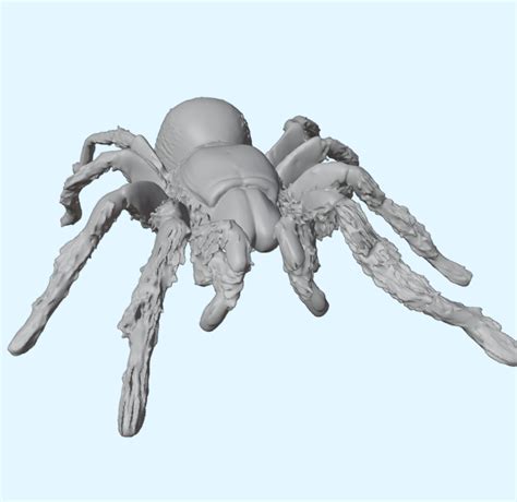 🕷️ Realistic Tarantula・free Stl File For 3d Printing・cults