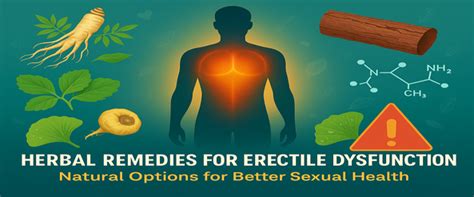 7 Effective Herbal Remedies For Ed You Should Know About