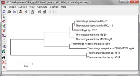 Peggys Intern Diary Tutorial A Phylogenetic Tree With Mega 5