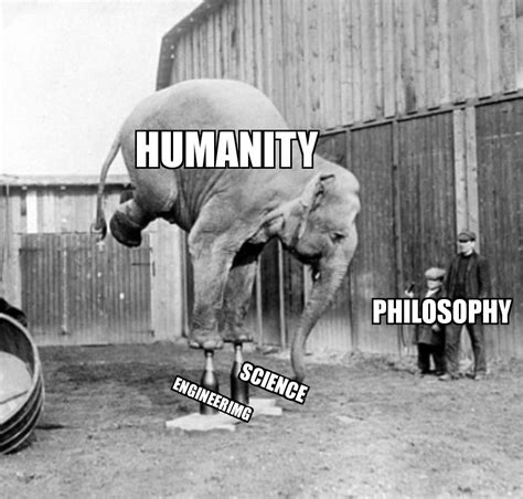 The Best Elephant Memes Memedroid