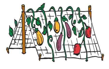 Trellis Netting American Nettings