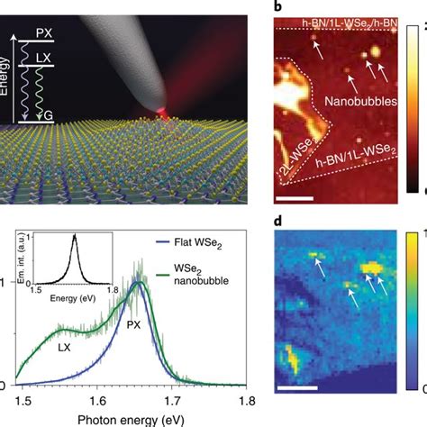 Imaging Strain Localized Excitons In Nanoscale Bubbles Of Monolayer