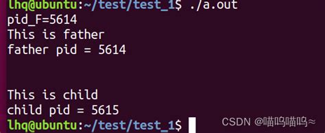 Linux——进程（fork与vfork）踪fork和vfork出来的进程 Csdn博客