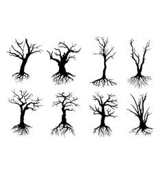 Naked Vector Images Over