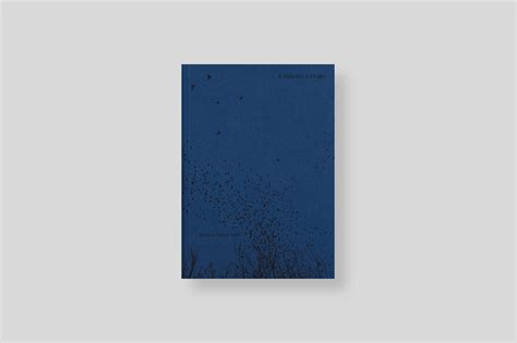 A Difficulty Is A Light Rebecca Norris Webb Delpire And Co