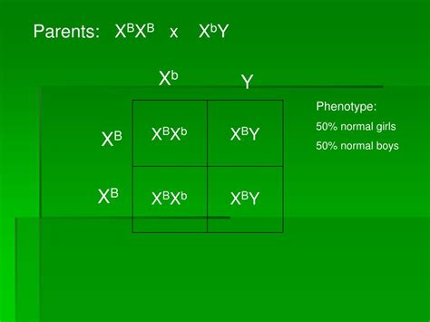 Ppt Human Heredity Powerpoint Presentation Free Download Id1710347