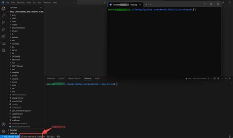Wsl2下使用can Utils操作socketcan，dronecanuavcan调试器，usb Can模块 哔哩哔哩