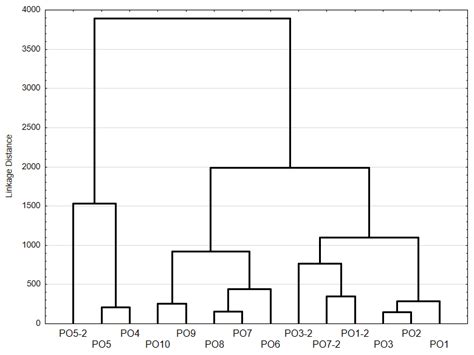 Cluster Analysis Of Investigated Samples Without Po9 2 Calculation Is