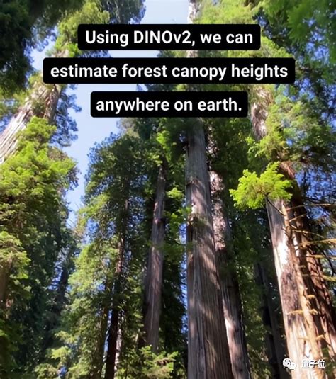 小扎亲自官宣meta视觉大模型！自监督学习无需微调，多任务效果超openclip丨开源 知乎