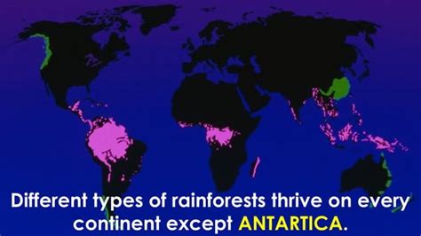 Science 6 Ecosystem And Its Meaning Pptx
