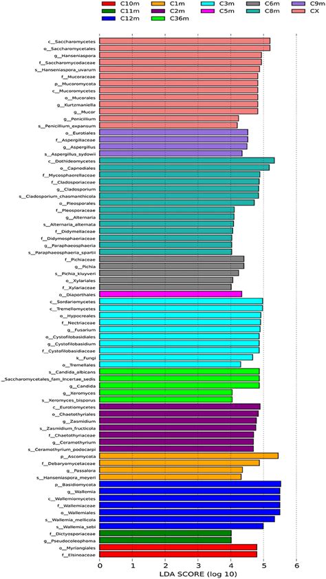 A Histogram Documenting The Distribution Of Lda Values The Lda Value