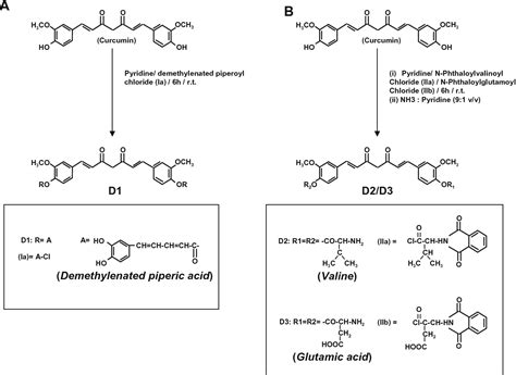 Piperic Acid Semantic Scholar
