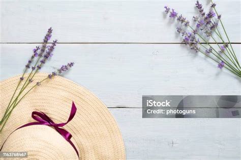 위의 배경 아름다운 아름다움 블로그 블로거 푸른 무리 카드 색깔 복사 공간 데이지 디자인 책상 바탕 화면 유행 여성 여성 평평한 평정 평평 꽃 꽃 신선한 소녀 인사말 모자