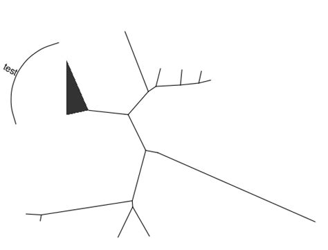 Daylight Layout Error With Labelling Collapsed Node · Issue 466