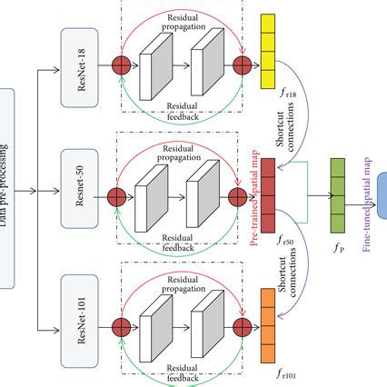 Architecture Of Fusion Of Residual Exploitation Based CNN Models Download Scientific Diagram