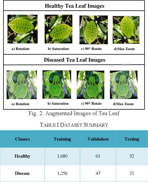 Figure 2 From Tea Leaf Disease Identification Using Improved Convolution Neural Network