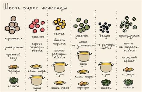 Як смачно та правильно приготувати сочевицю на гарнір пюре Як смачно з сочевиці зварити кашу в