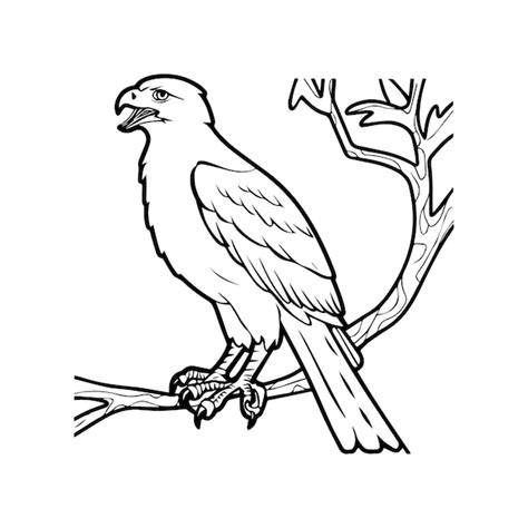 Premium Vector Hawk Coloring Pages Hawk Bird Outline Vector For