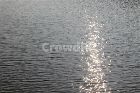 강물 잔잔 깔끔 자연 물 사진 이미지 일러스트 캘리그라피 이미작가