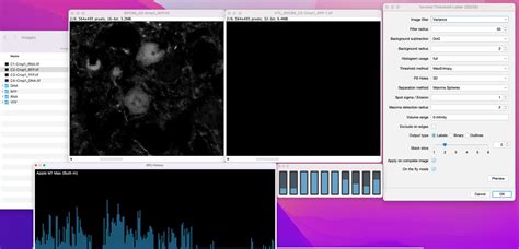 biovoxxel 3d error due to clij2 exception usage and issues image sc forum