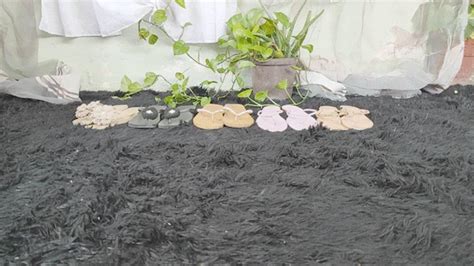 Stephanie Super Sexy Flip Flops Change And Modeling Foot Fetish Paradise Clips Sale