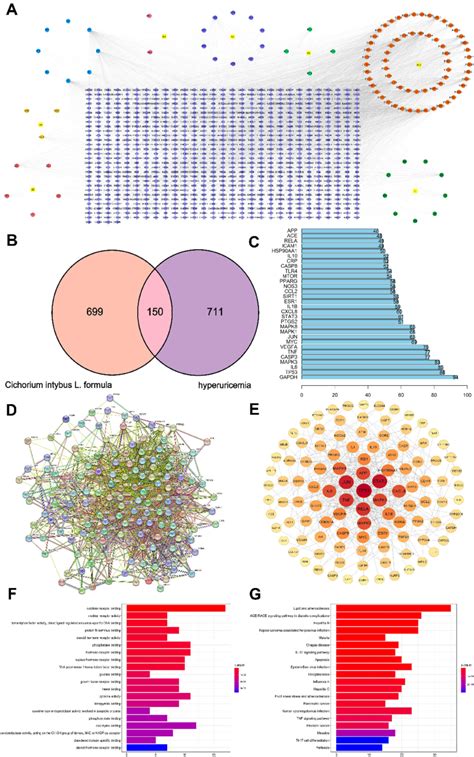 Network Construction And Pathway And Functional Enrichment Analysis Of Download Scientific