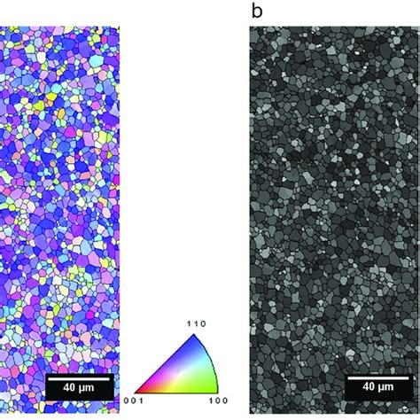 A Color Coded Grain Orientation Map Obtained Using Ebsd Technique Of